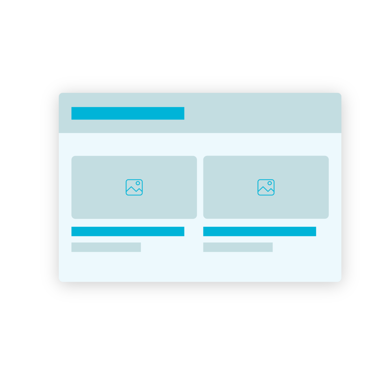 Web design and Development Services